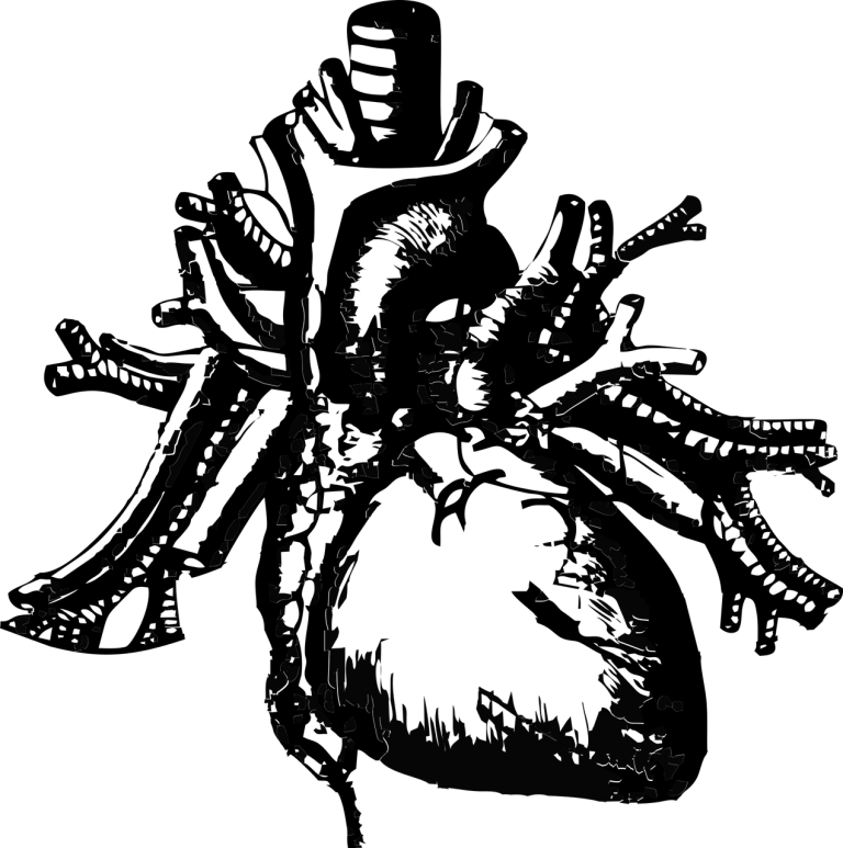 Radiologisk Afdeling – Aalborg Universitetshospital